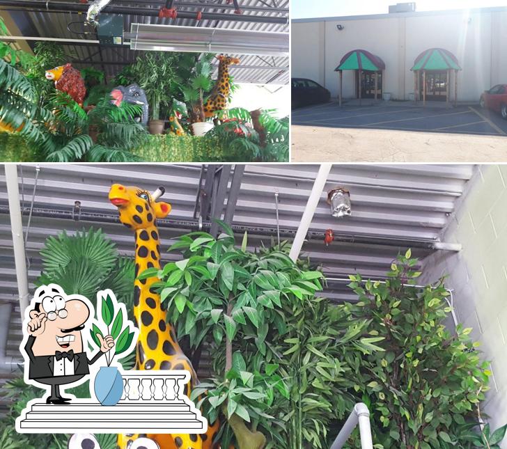 Jungle Hut Entertainment in Hamilton - Restaurant reviews