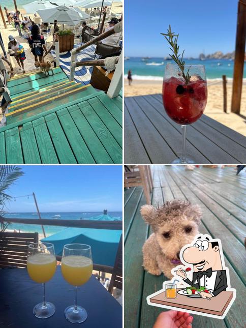 The Sand Bar, Cabo San Lucas, Calle Cormonares SN El - Restaurant reviews