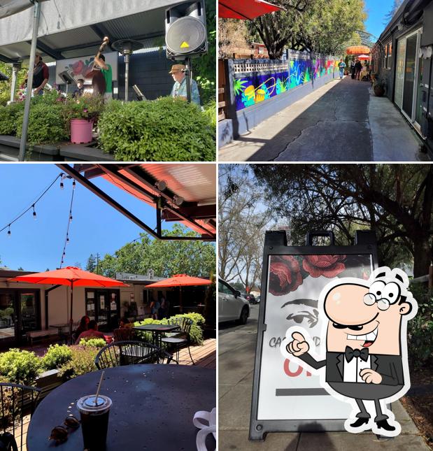 Café Frida Gallery, Santa Rosa - Restaurant menu, prices and reviews