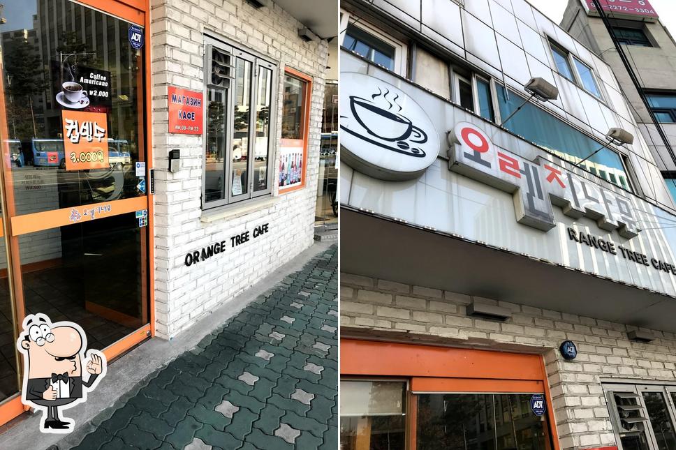 Orange Tree Cafe, Seoul - Restaurant reviews