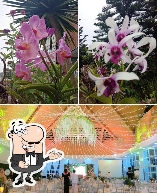 Midlands Veranda restaurant, Talisay - Restaurant reviews