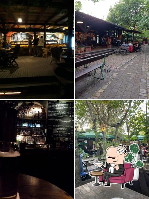 Substanz Biergarten & Kneipe, Leipzig - Speisekarte, Preise und Bewertungen