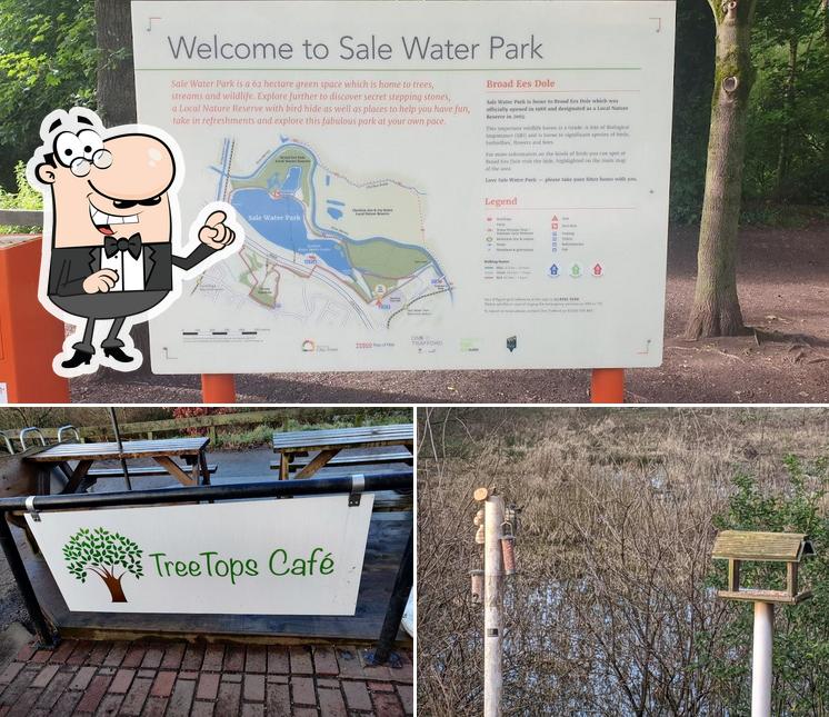 Tree Tops Cafe in Sale - Restaurant reviews