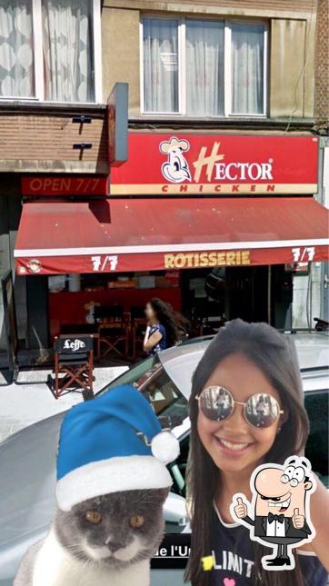 Hector chicken - Cimetière d'Ixelles, Ixelles, Av. de l'Université 29 ...