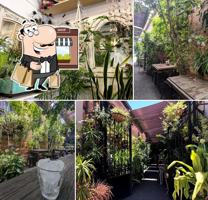 Rafter & Rose in Ipswich - Restaurant menu and reviews