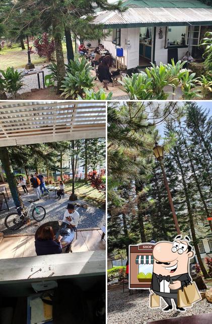 Hot Cat restaurant, Baguio - Restaurant reviews