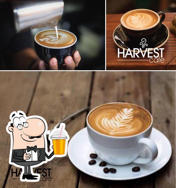 Harvest Cafe in Morphett Vale - Restaurant reviews