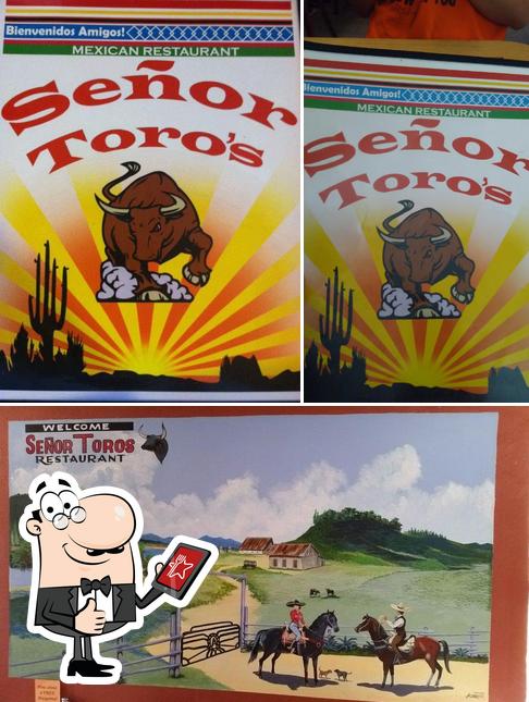 Señor Toros, 1866 US HWY 69 S in Woodville - Restaurant menu and reviews