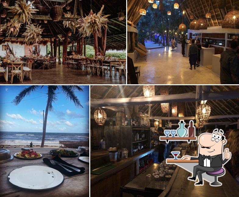 Papaya Playa Project Beach Club, Tulum - Restaurant menu, prices and ...