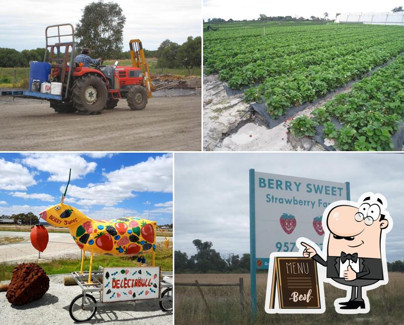 Berry Sweet Strawberry Farm in Bullsbrook - Restaurant reviews