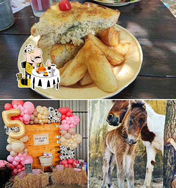 Boeretroos Koffiewinkel, Cape Town - Restaurant menu, prices and reviews