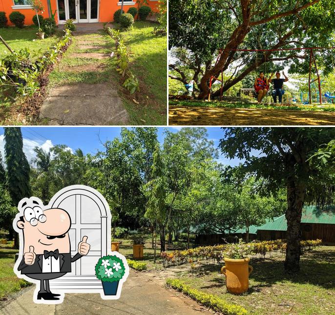Café Dasoland: A Family Adventure Park, Dasol - Opiniones del restaurante