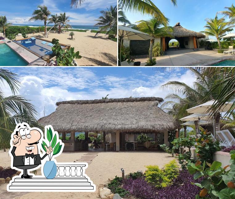 El Origen Ocean Club, Mexico - Carta del restaurante y opiniones