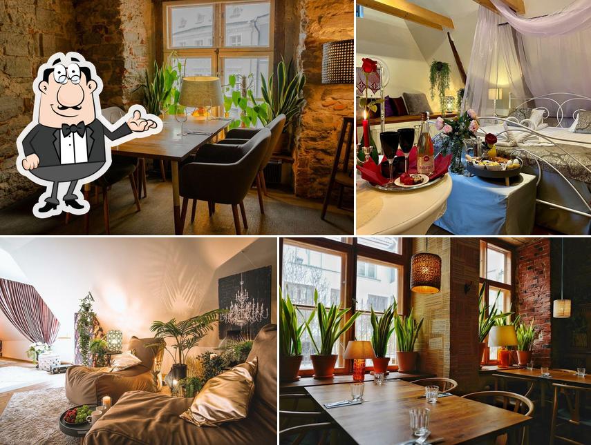 Best restaurants with cosy atmosphere in Tallinn, winter 2024 ...