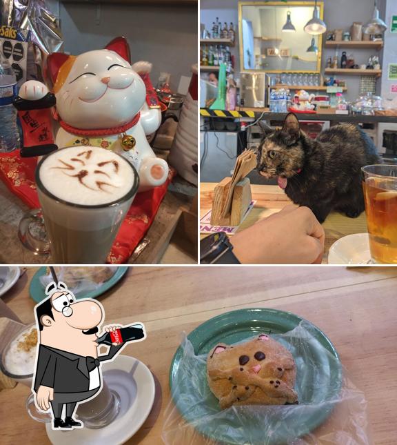 Cat Café 31 Gatitos - Menú del restaurante, precios y reseñas