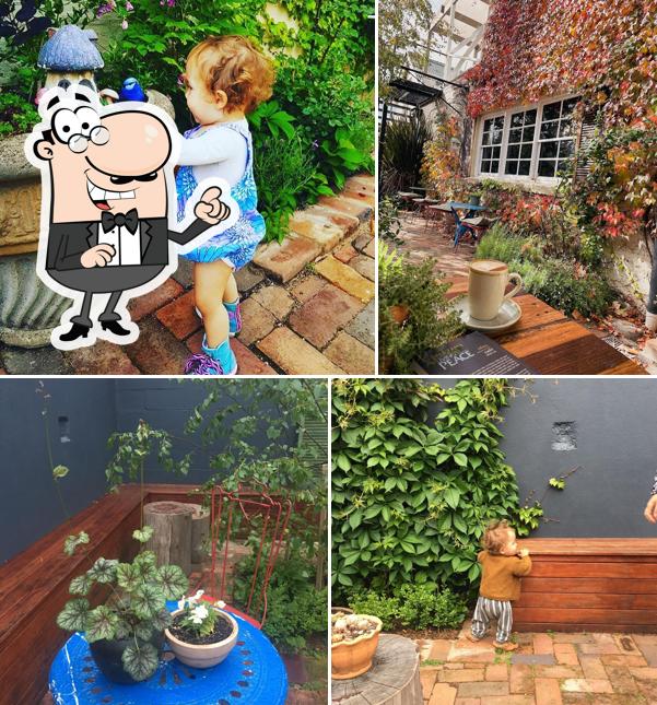 The Courtyard Coffee Shop in Cooma - Restaurant reviews