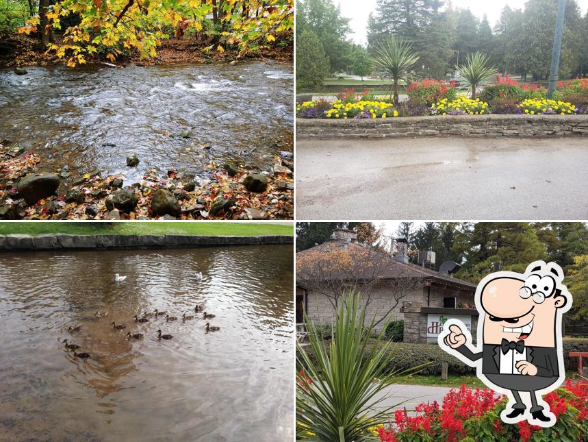 Find the best place to eat in Owen Sound, summer 2024 - Restaurant Guru