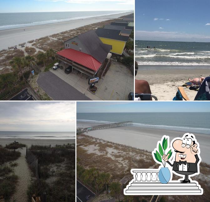 Scotty's Beach Bar, Surfside Beach - Restaurant menu, prices and reviews