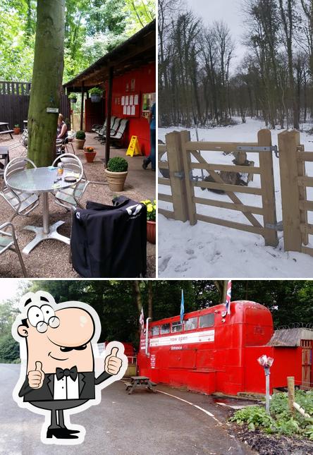 Red Bus Cafe in Leeds - Restaurant reviews