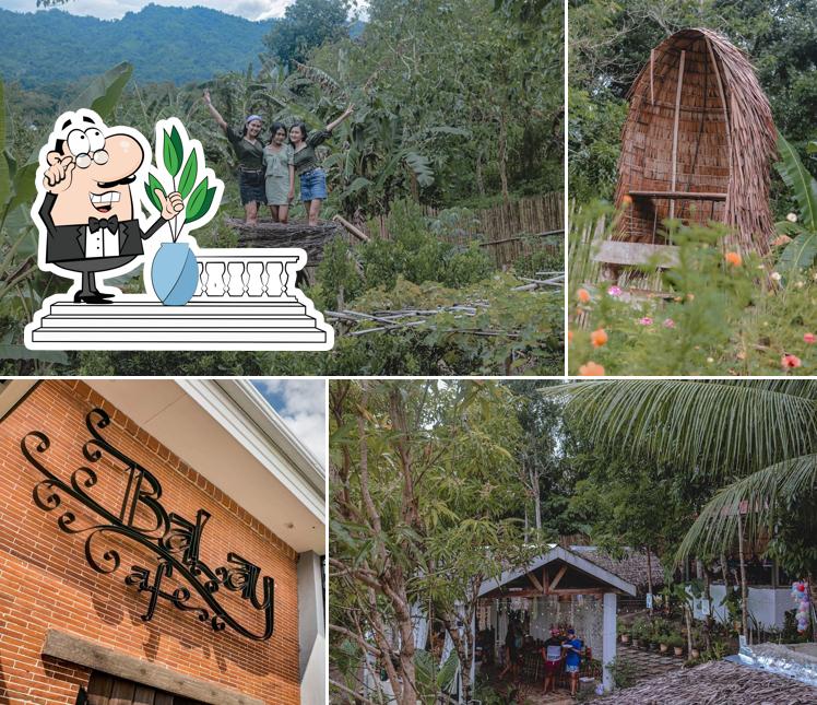 Balay Cafe, Cabanatuan City, 6th Street - Restaurant reviews