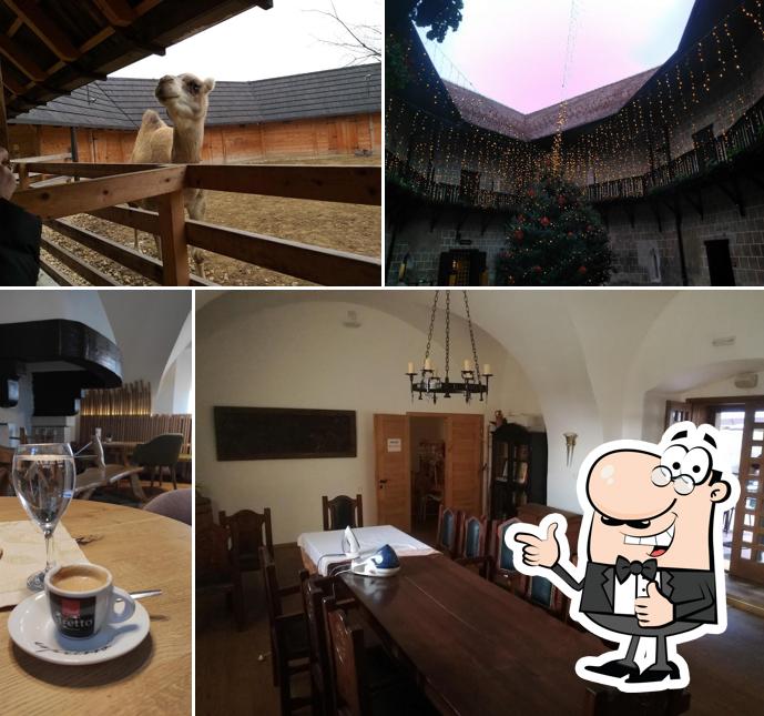 Restoran i Pivnica Stari grad ristorante, Đurđevac, Starogradska ul ...