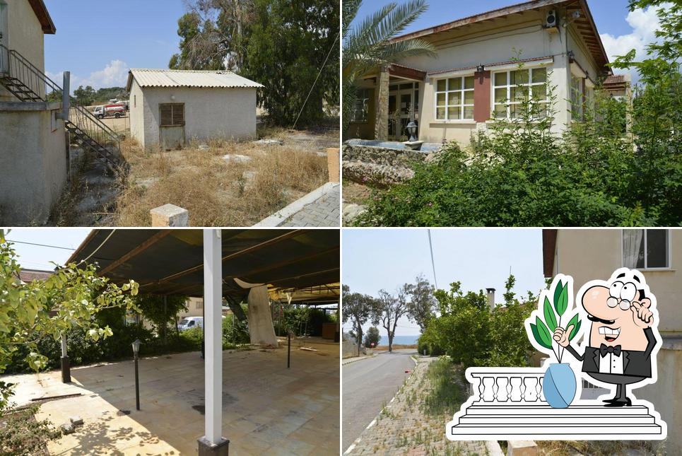 TBA Bar and Restaurant, Yeni İskele