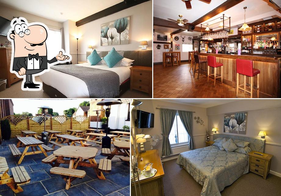 The White Hart in Witham - Restaurant menu and reviews