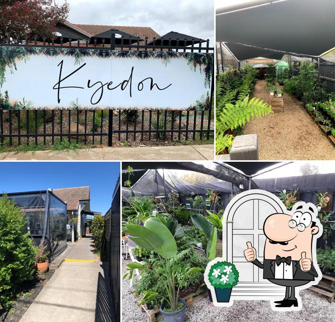 Kyedon, Sunbury - Restaurant menu, prices and reviews