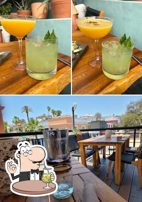 AGAVE Kitchen, San José del Cabo - Restaurant menu, prices and reviews