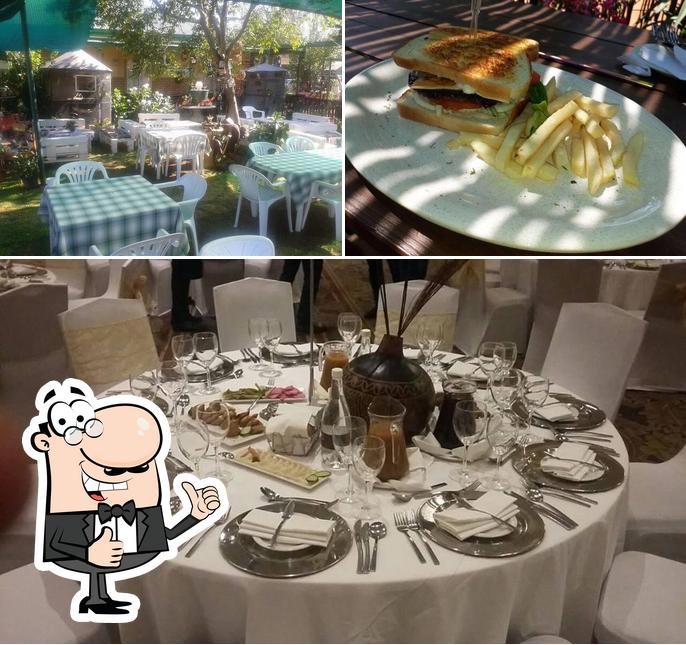 Lime Tree cafe, Pretoria, Corner of Clifton & North Street - Restaurant ...