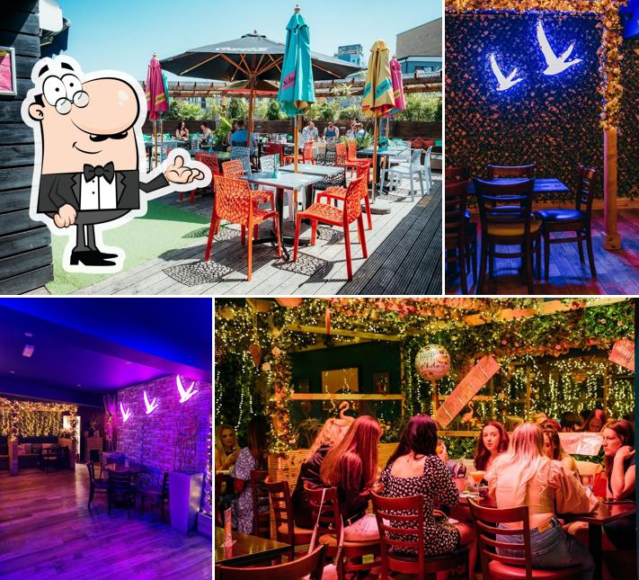 Funky Flamingo Southampton - Lounge & Roof Garden, Southampton ...