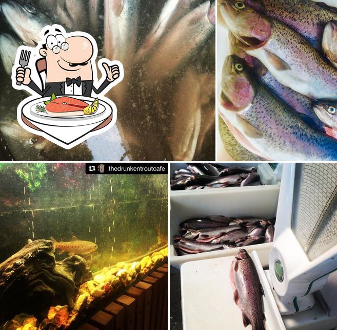 Arc-en-Ciel Trout Farm & Nundle Smokehouse & The Drunken Trout Cafe in ...