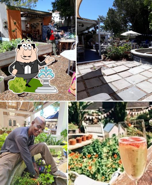 The Backyard Café, Cape Town - Restaurant menu, prices and reviews