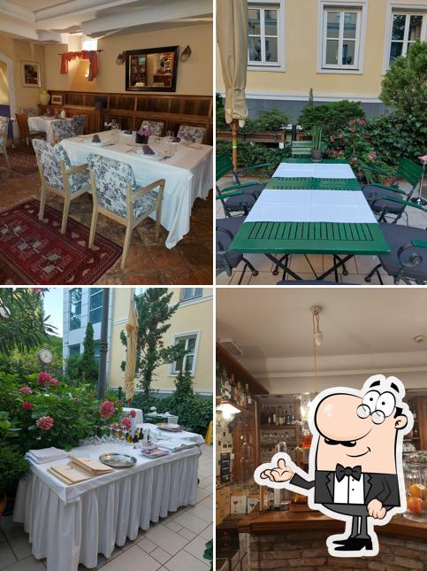 Gallo, Zagreb - Restaurant menu, prices and reviews