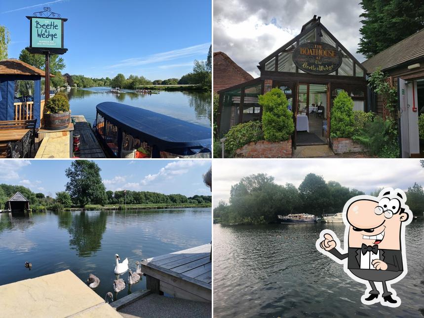 The Beetle and Wedge in Cholsey - Restaurant reviews