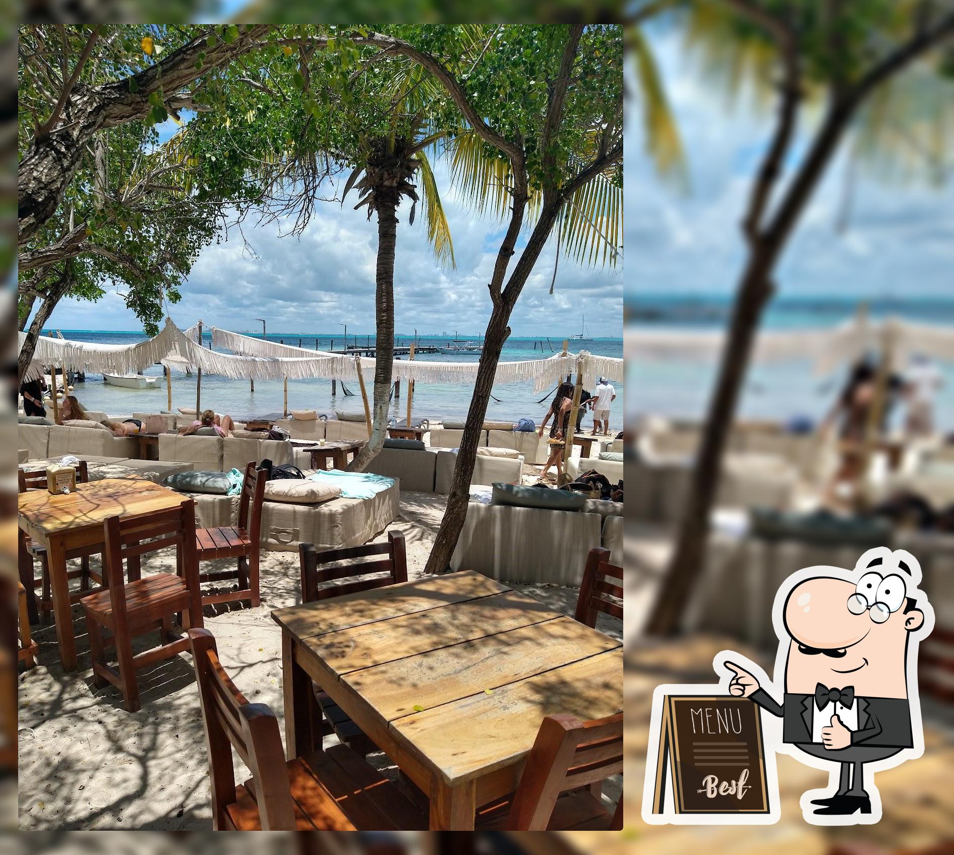 Albatros Beach Club Restaurant & Bar, Isla Mujeres - Restaurant menu ...