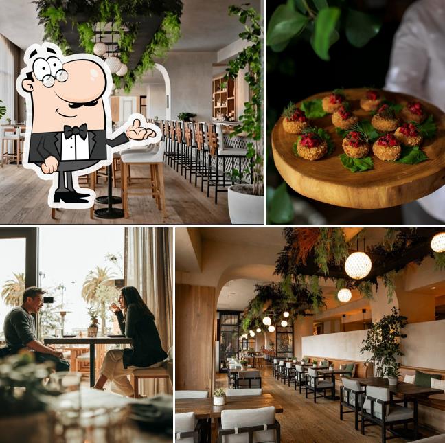 Terrene, San Francisco - Restaurant menu, prices and reviews