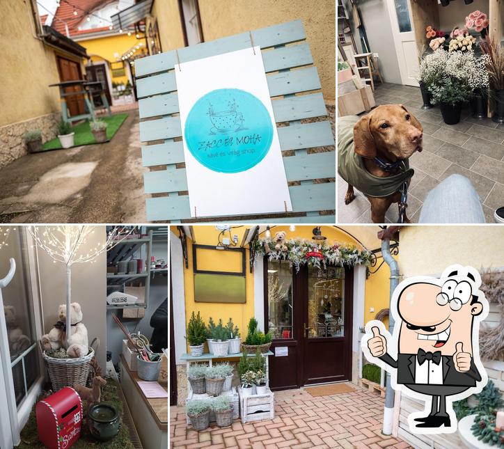 Zacc és Moha cafe, Balatonfüred - Restaurant reviews