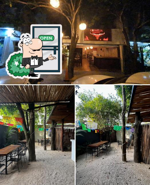 CORNELIA MEXICAN GRILL, Tulum - Menú del restaurante, precios y reseñas