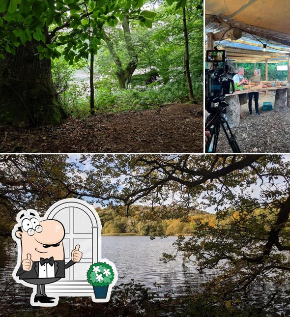 Fodder in the Woods, Downpatrick - Restaurant menu, prices and reviews