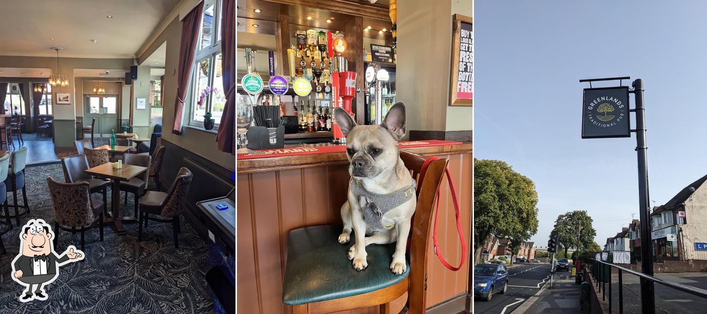 Greenland pub, Redditch - Restaurant menu, prices and reviews