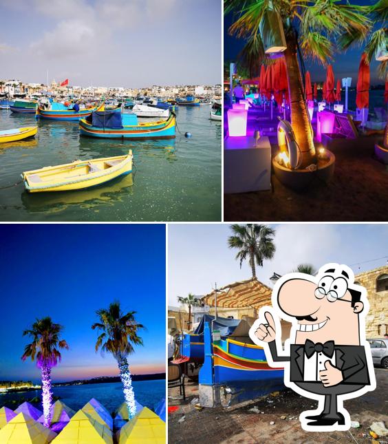Amazonia Complex pub & bar, Saint Paul's Bay - Restaurant reviews