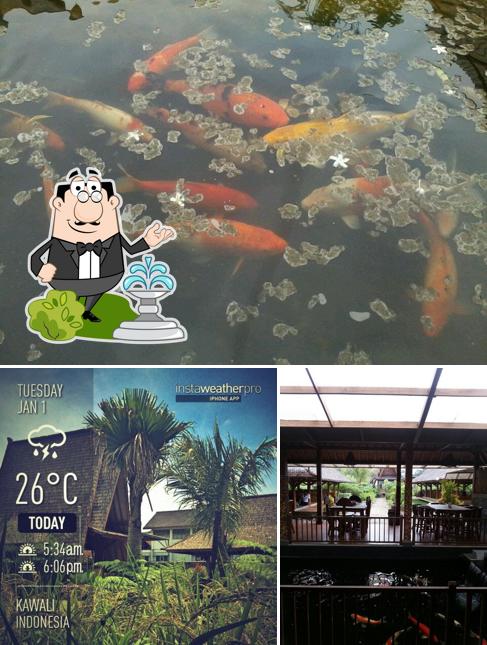 RM Cibiuk restaurant, Cijeungjing - Restaurant reviews