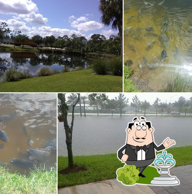 Ripper's Restaurant, Palm City - Restaurant menu, prices and reviews