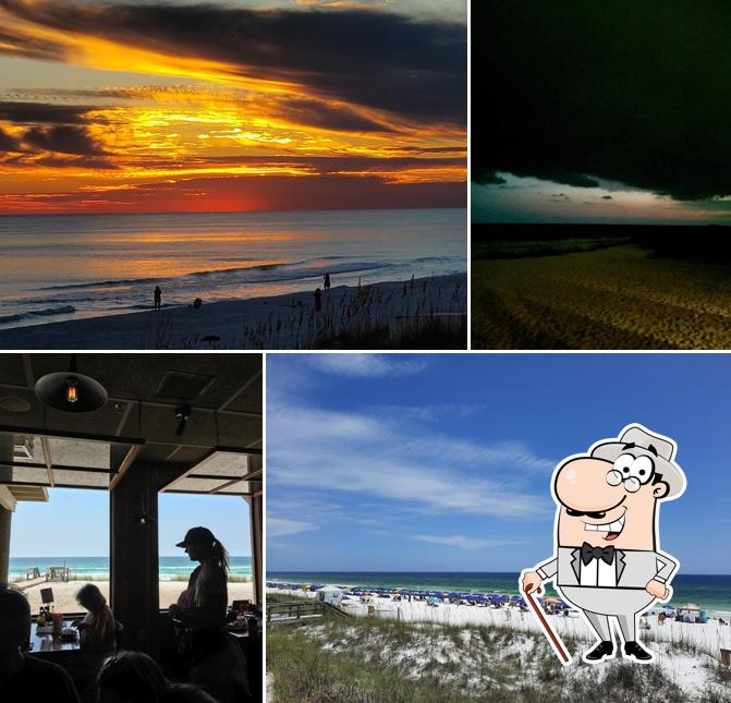 Surf Hut in Destin - Restaurant menu and reviews