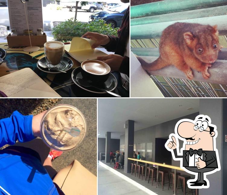 Mean Beanz Espresso, Kelvin Grove - Restaurant menu, prices and reviews