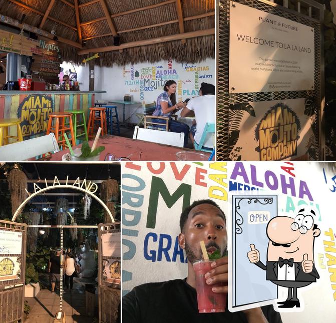 Miami Mojito Company, Miami - Restaurant menu, prices and reviews