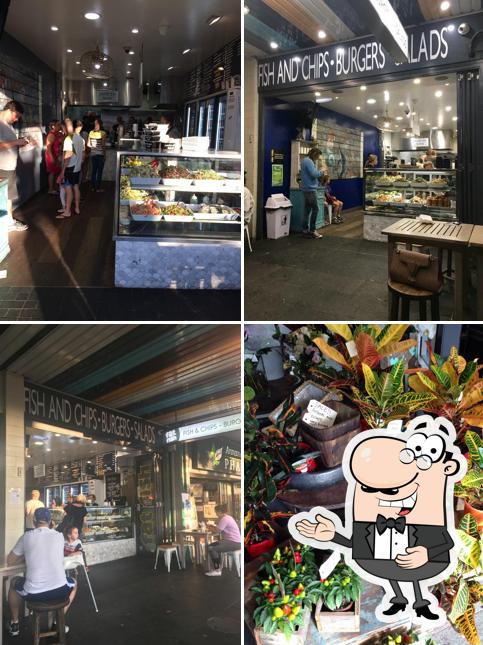 Fat Fish in Annandale - Restaurant reviews