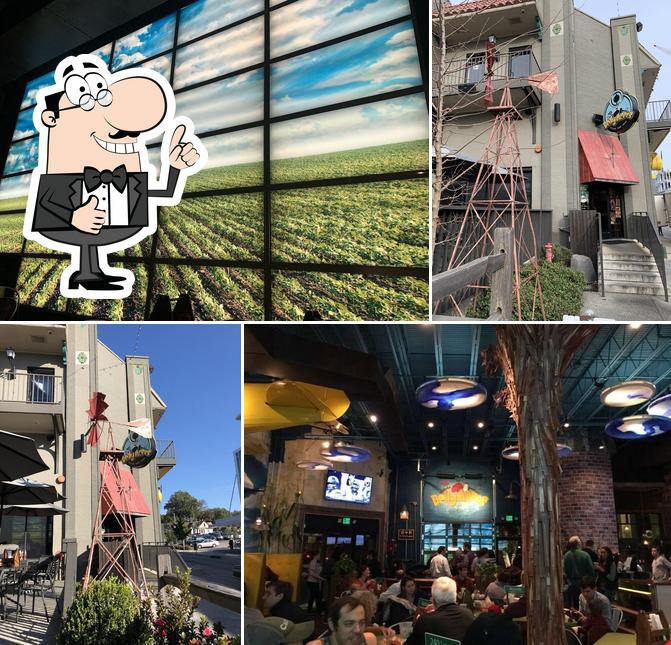 Belly Acres (Overton Square), 2102 Trimble Pl in Memphis - Restaurant ...