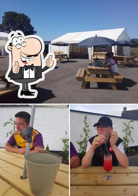 The Pike Inn, Camolin - Restaurant menu, prices and reviews